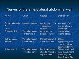 Abdominal anatomy | PPT