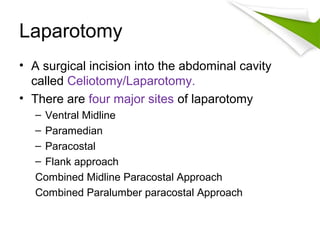 Abdominal anatomy | PPT