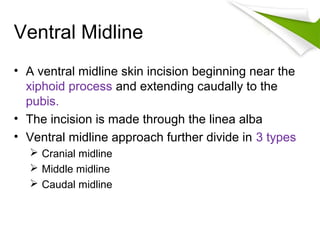 Abdominal anatomy | PPT