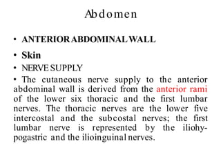 Abdominal anatomy and ingnal wall liner apba | PPT