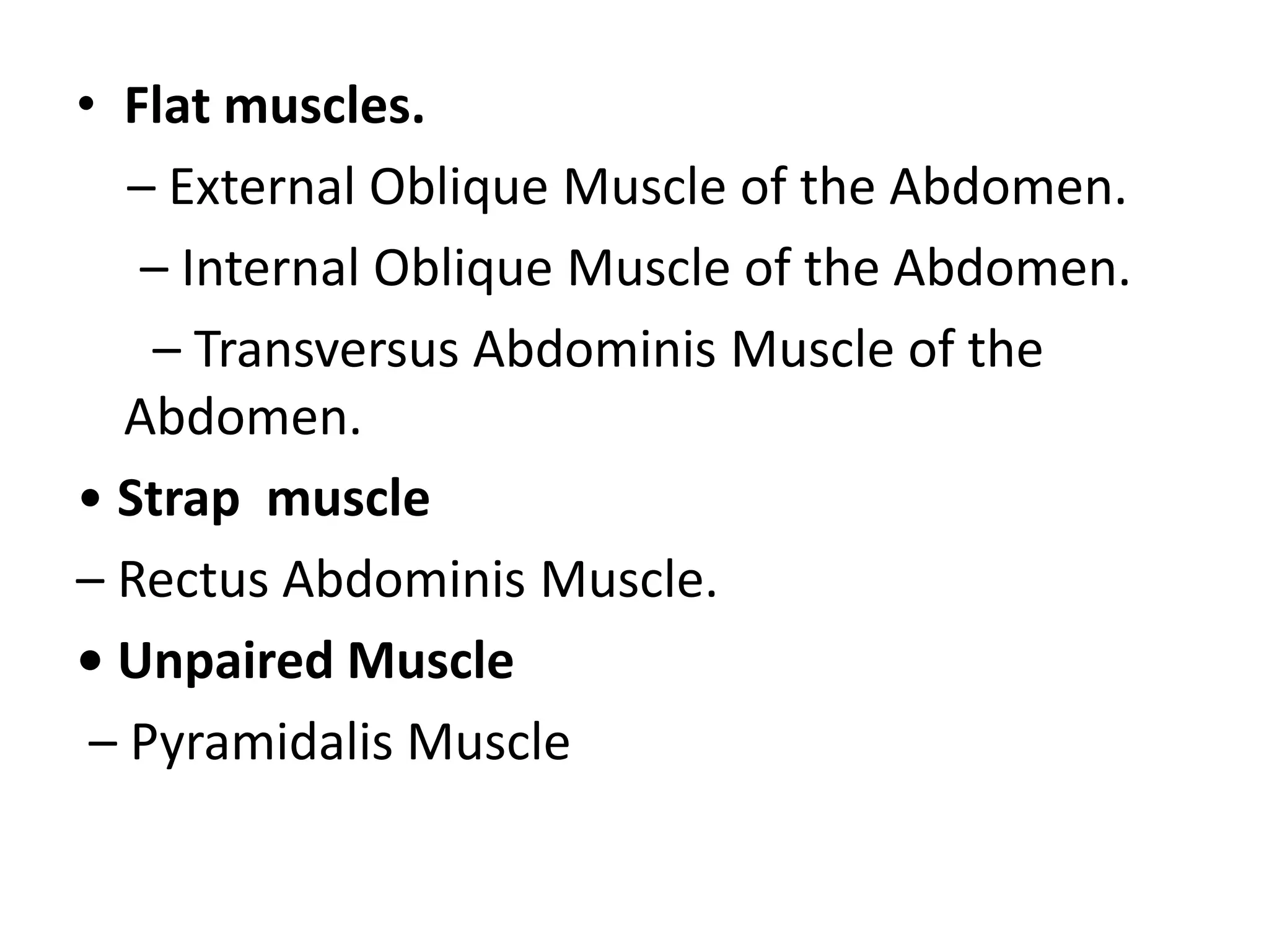 Abdominal anatomy 12.pptx anatomy of abdomen | PPT