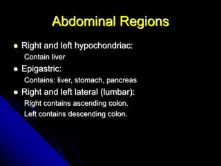abdominal anterior wall-27.ppt