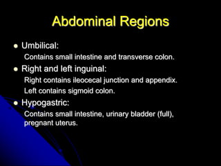 abdominal anterior wall-27.ppt