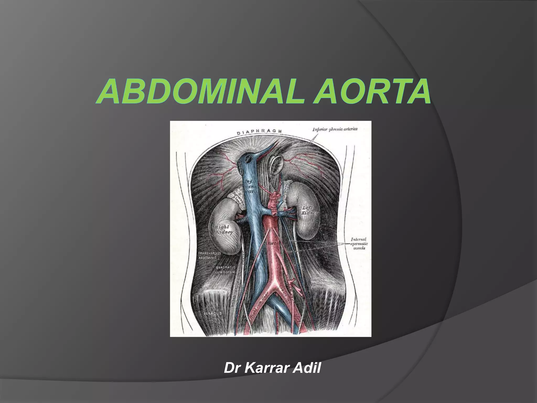 Abdominal aorta.pptx