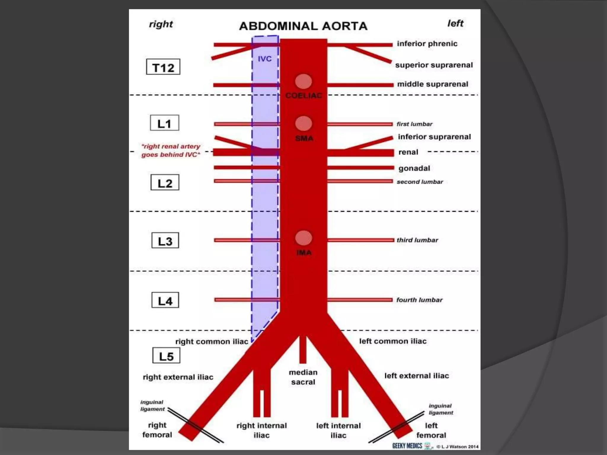Abdominal aorta.pptx