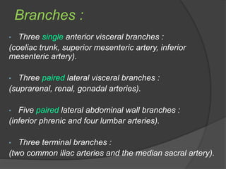 Abdominal aorta.pptx