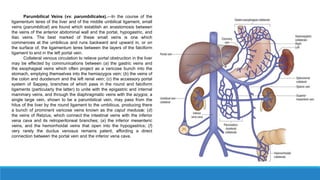 Abdominal aorta, its topography,.pptx