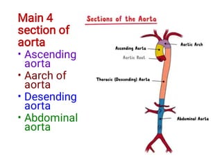 abdominal aortaWPS Office.pdf
