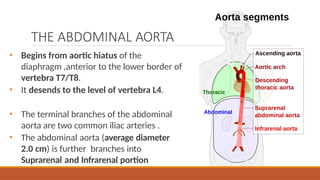 NEW ABDOMINAL AORTIC ANEURYSM(AAA).pptx