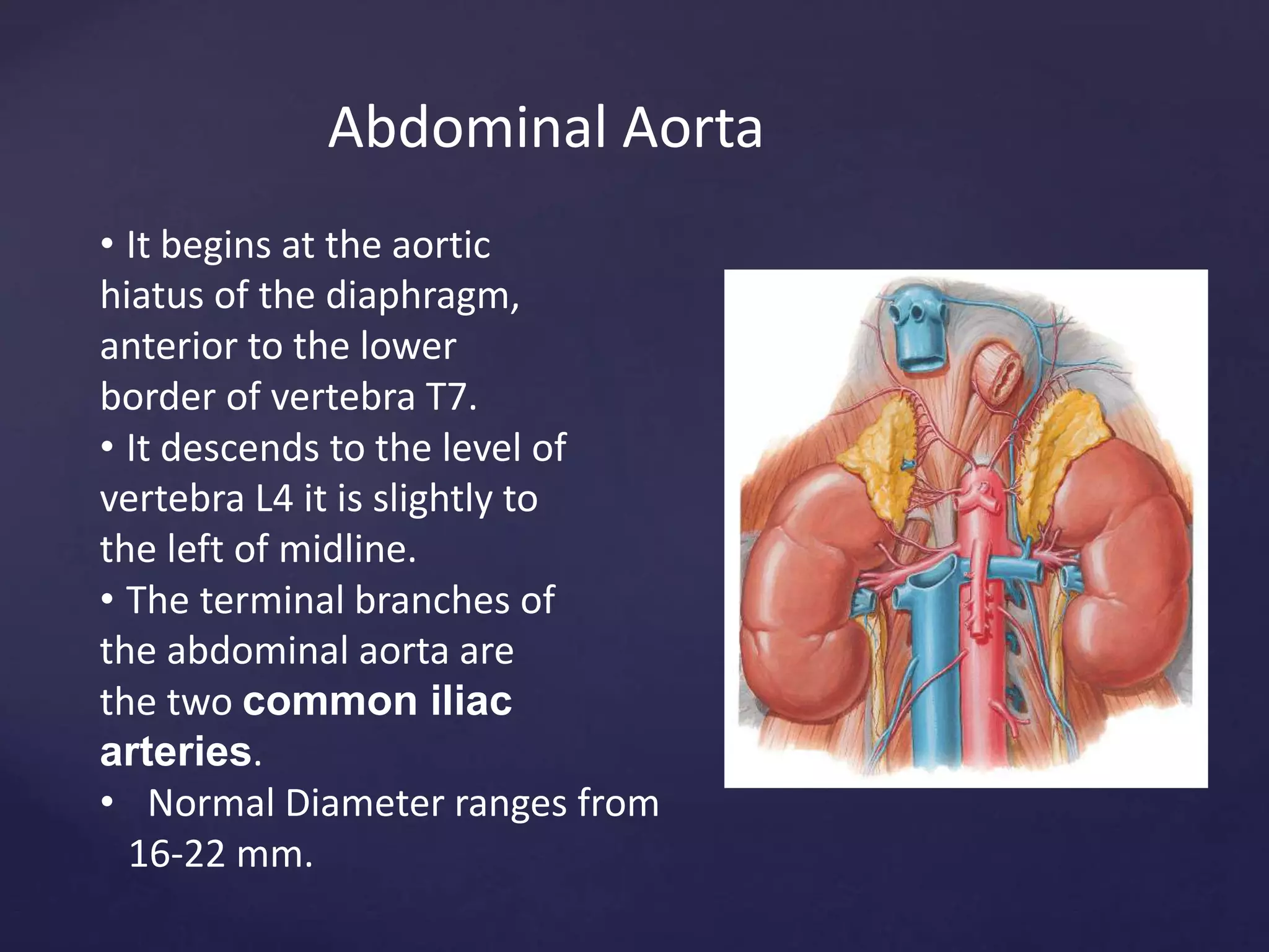 Abdominal aortic aneurysm | PPTX