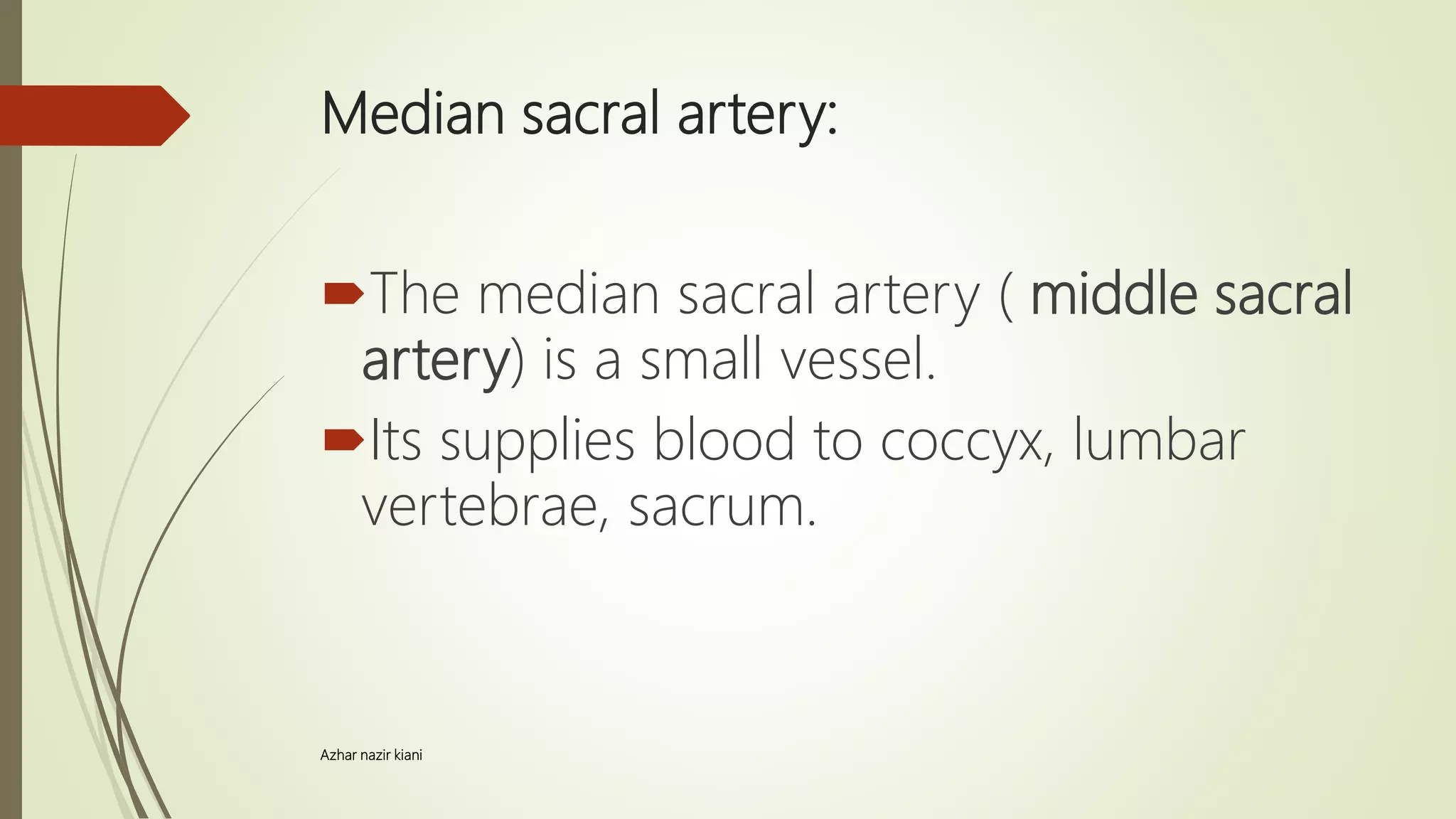 Abdominal aorta | PPTX