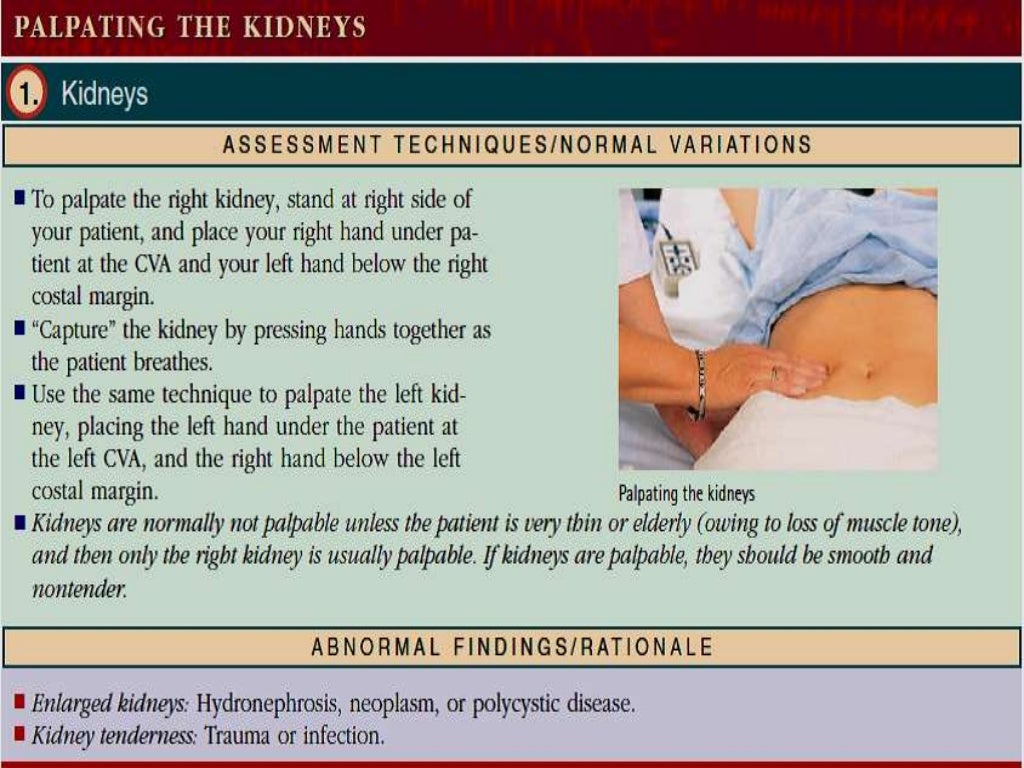 Abdominal Assessment abdominal-assessment