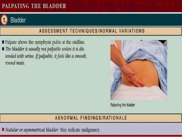 Abdominal Assessment abdominal-assessment