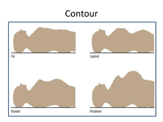 ABDOMINAL ASSESSMENT.pdf