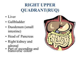 ABDOMINAL ASSESSMENT.pdf