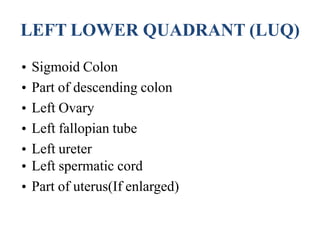 ABDOMINAL ASSESSMENT.pdf