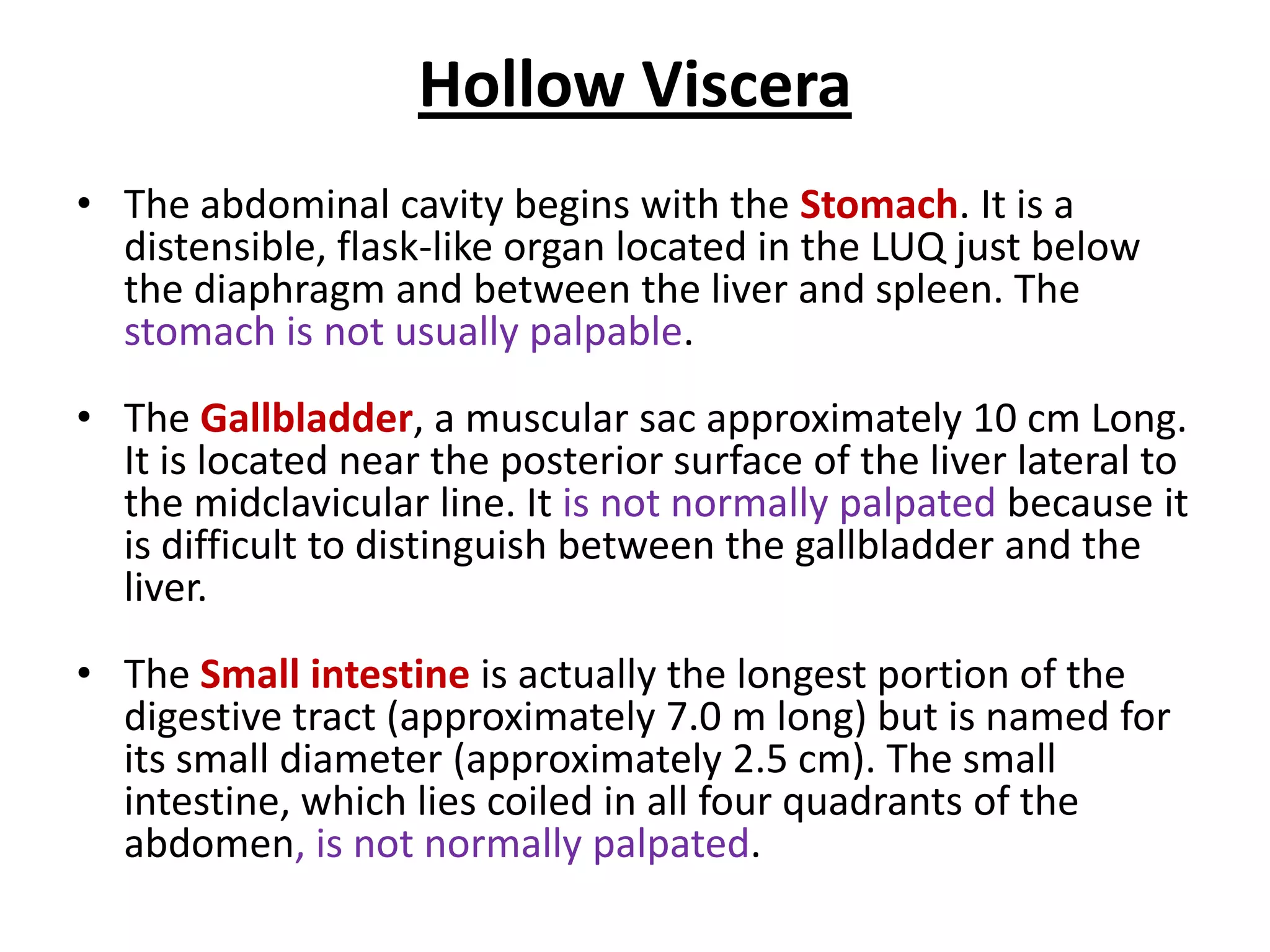 Abdominal assessment.pdf