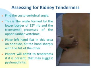 Abdominal Assessment.power point presentation | PPT