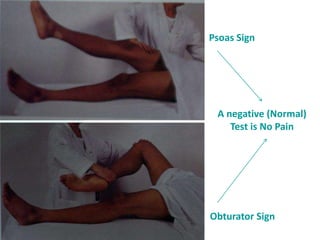 Abdominal Assessment.power point presentation | PPT
