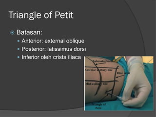 Abdominal block | PDF