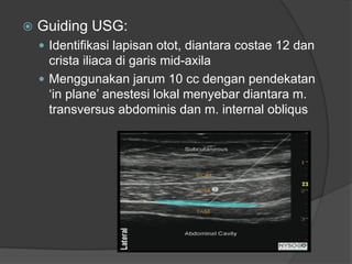 Abdominal block | PDF