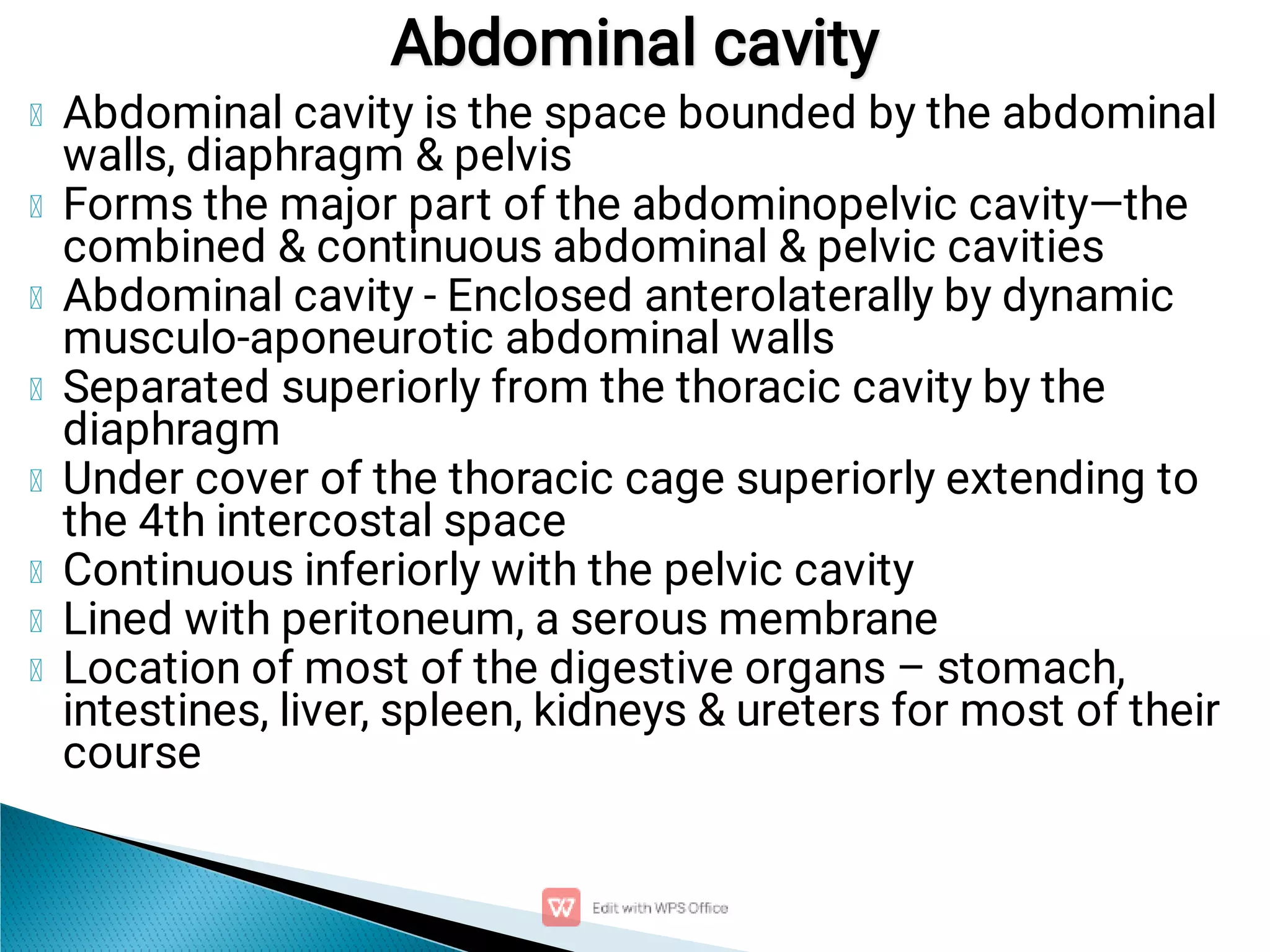 abdominal cavity and Accessory.pdf