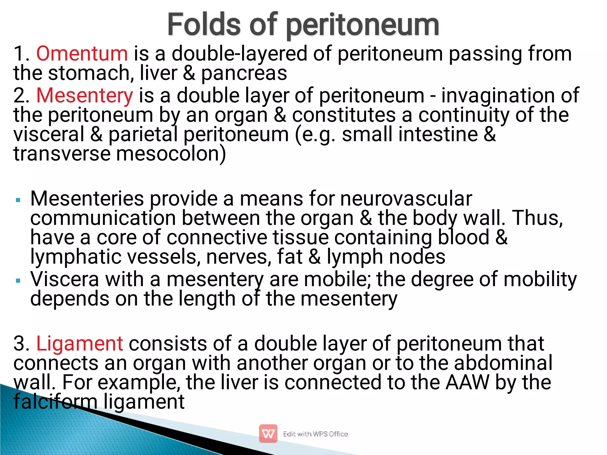abdominal cavity and Accessory.pdf