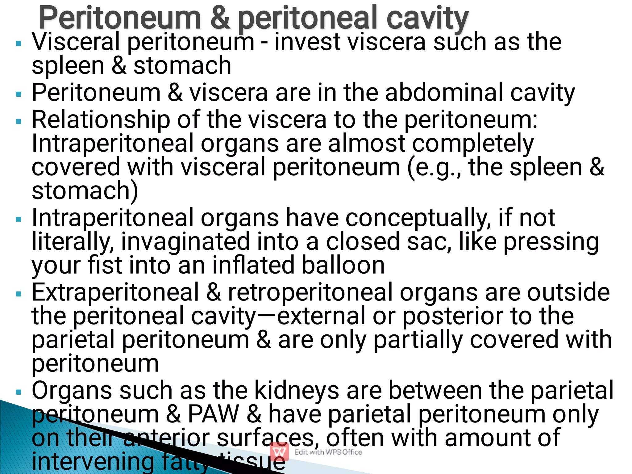 abdominal cavity and Accessory.pdf
