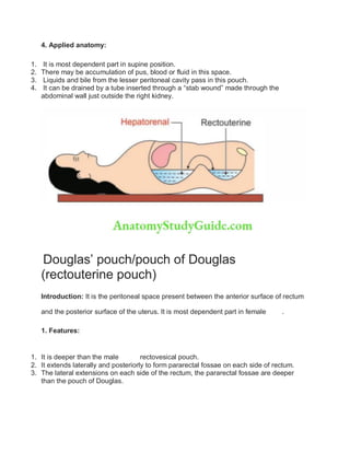 Abdominal Cavity And Peritoneum Questions And Answers | PDF