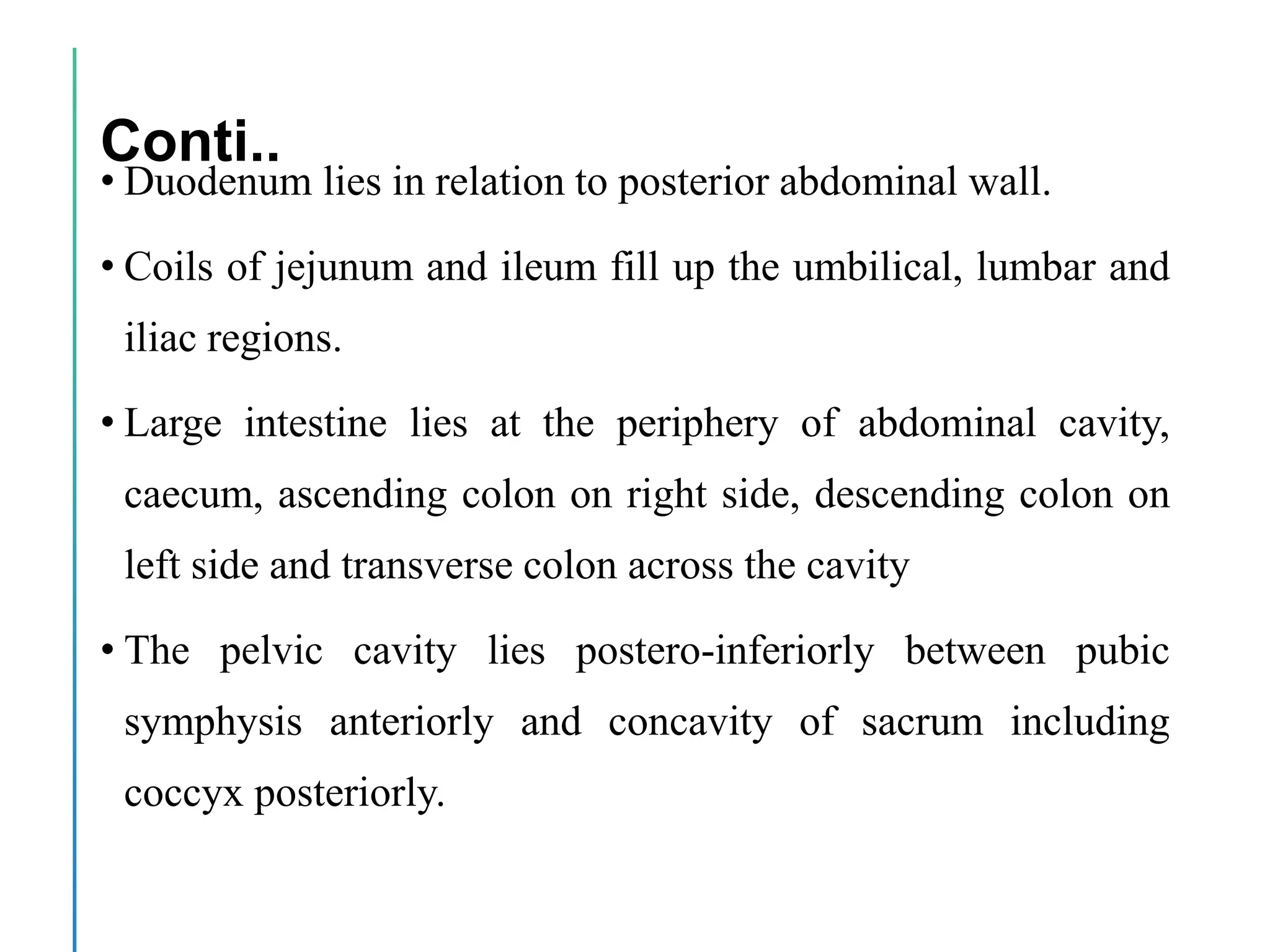 Peritoneum & Abdominal cavity .pptx