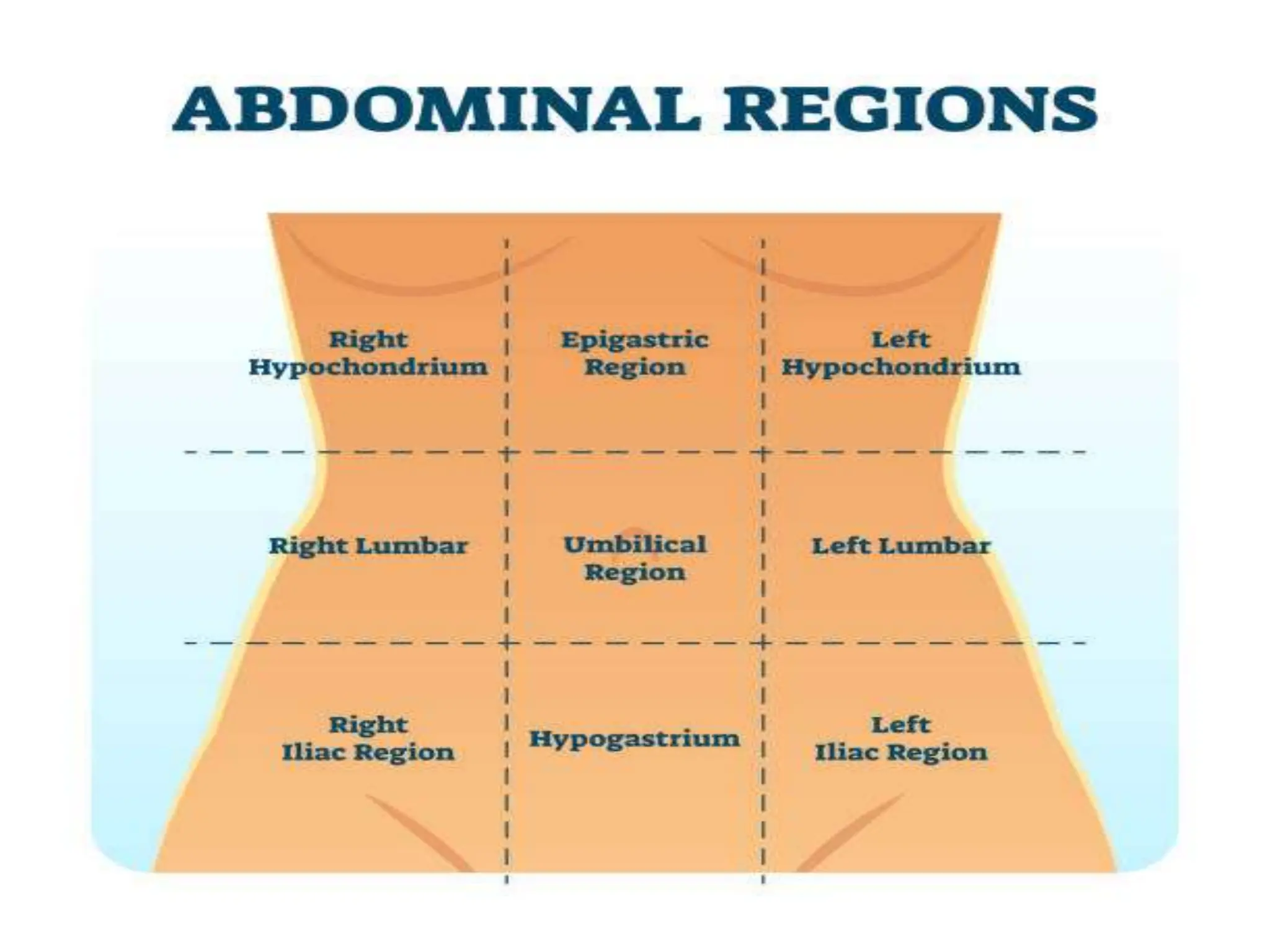 Peritoneum & Abdominal cavity .pptx