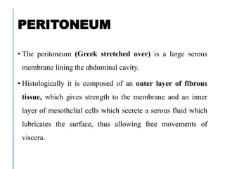 Peritoneum & Abdominal cavity .pptx