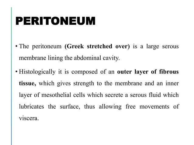 Peritoneum & Abdominal cavity .pptx | Digestive Disorders | Diseases ...