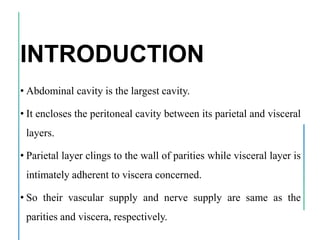Peritoneum & Abdominal cavity .pptx