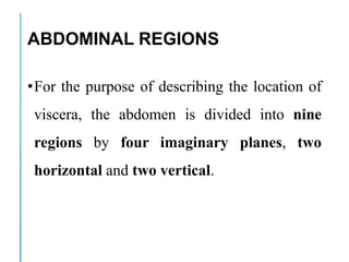 Peritoneum & Abdominal cavity .pptx