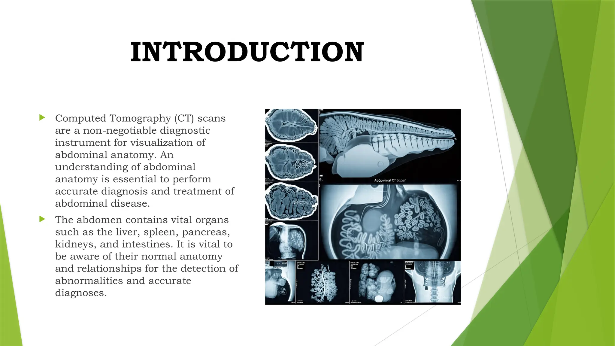 ABDOMINAL COMPUTED TOMOGRAPHY SCAN ANATOMY.pptx