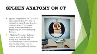 ABDOMINAL COMPUTED TOMOGRAPHY SCAN ANATOMY.pptx