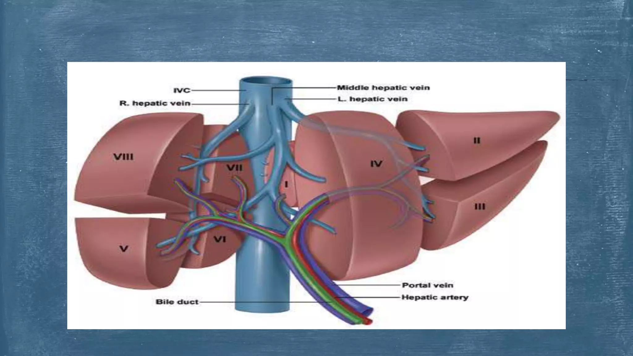 CT scan Liver examination | PPTX