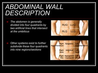 Abdominal Exam.ppt