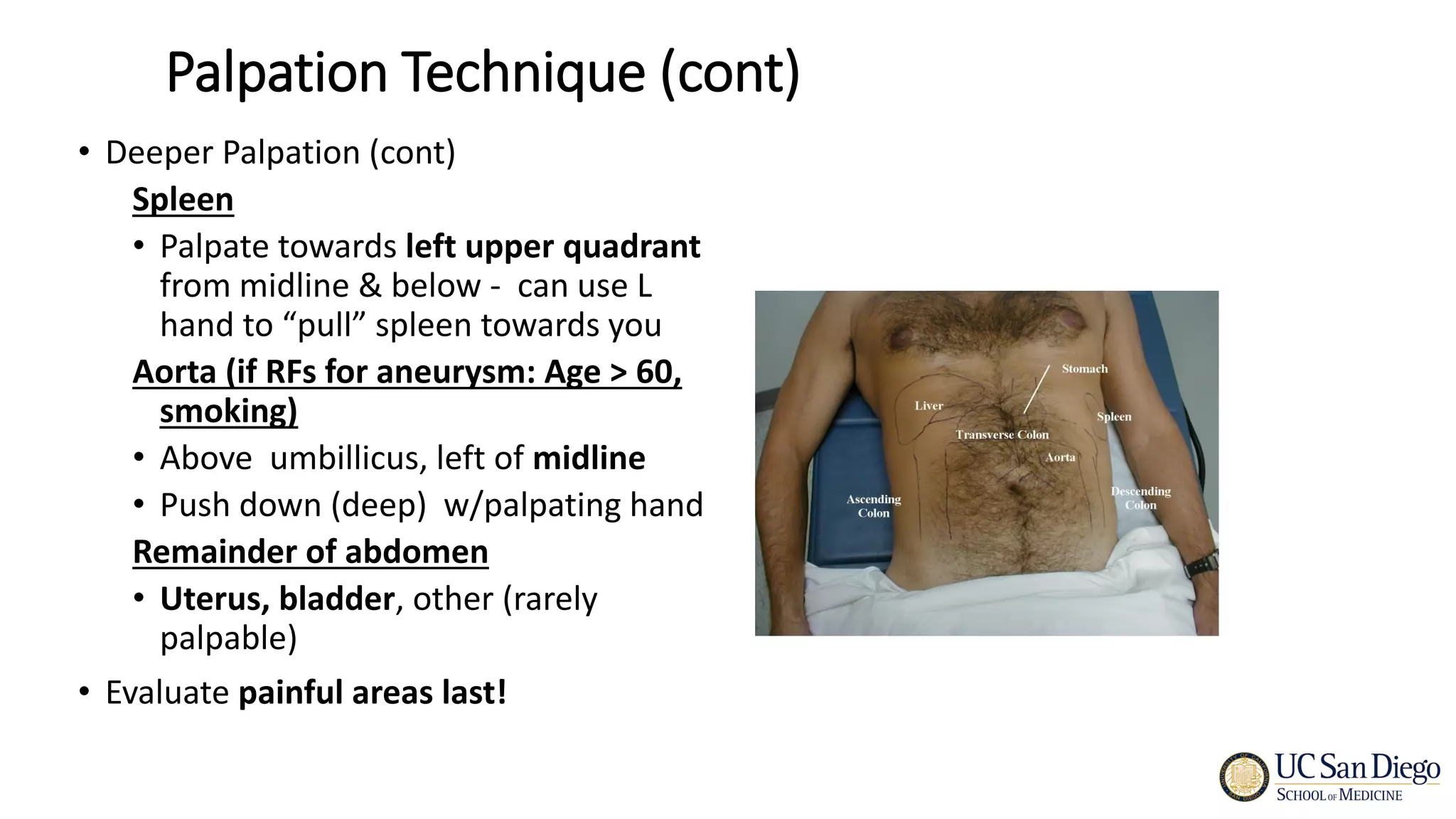Abdominal Exam.pdf