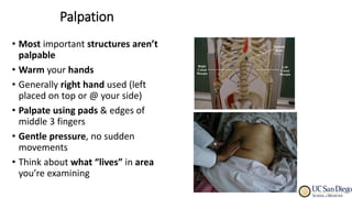 Abdominal Exam.pdf