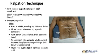 Abdominal Exam.pdf