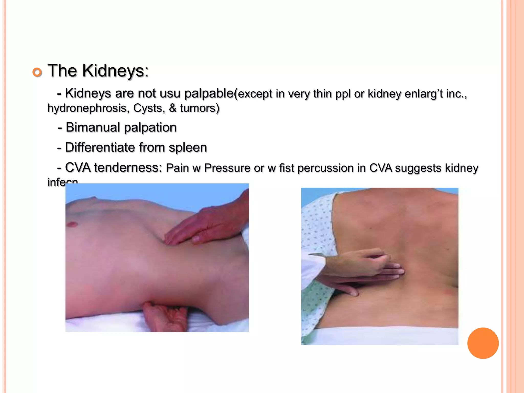 Abdominal Examination.pptx