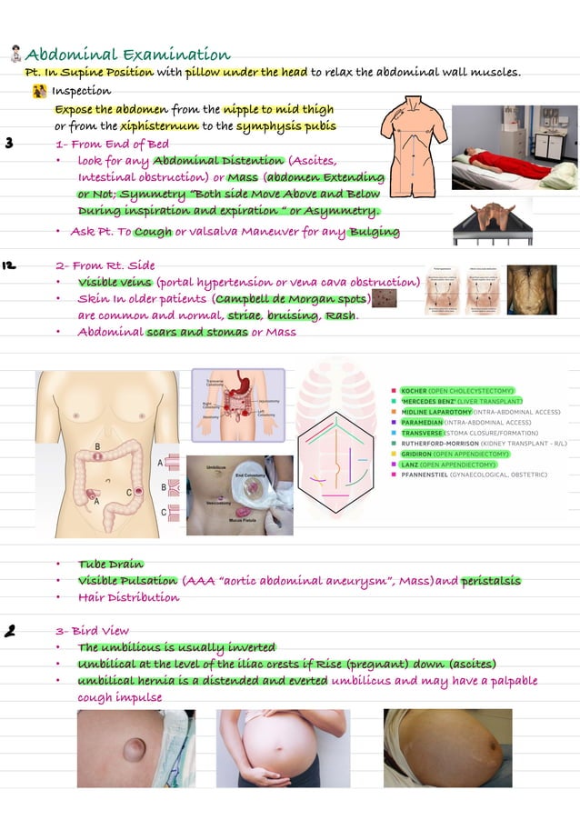 Abdominal Examination .pdf | Digestive Disorders | Diseases and Conditions