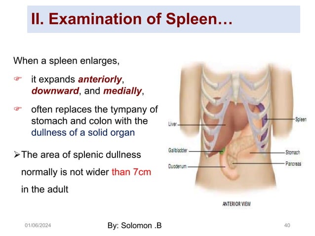 Abdominal examination assessment (1).pptx