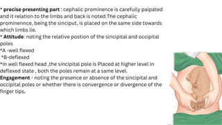 Abdominal Examination (1).pdfhjjnhhhbnnn | PDF