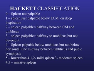 Abdominal examination byMuhamad Fathy (MD) | PPT