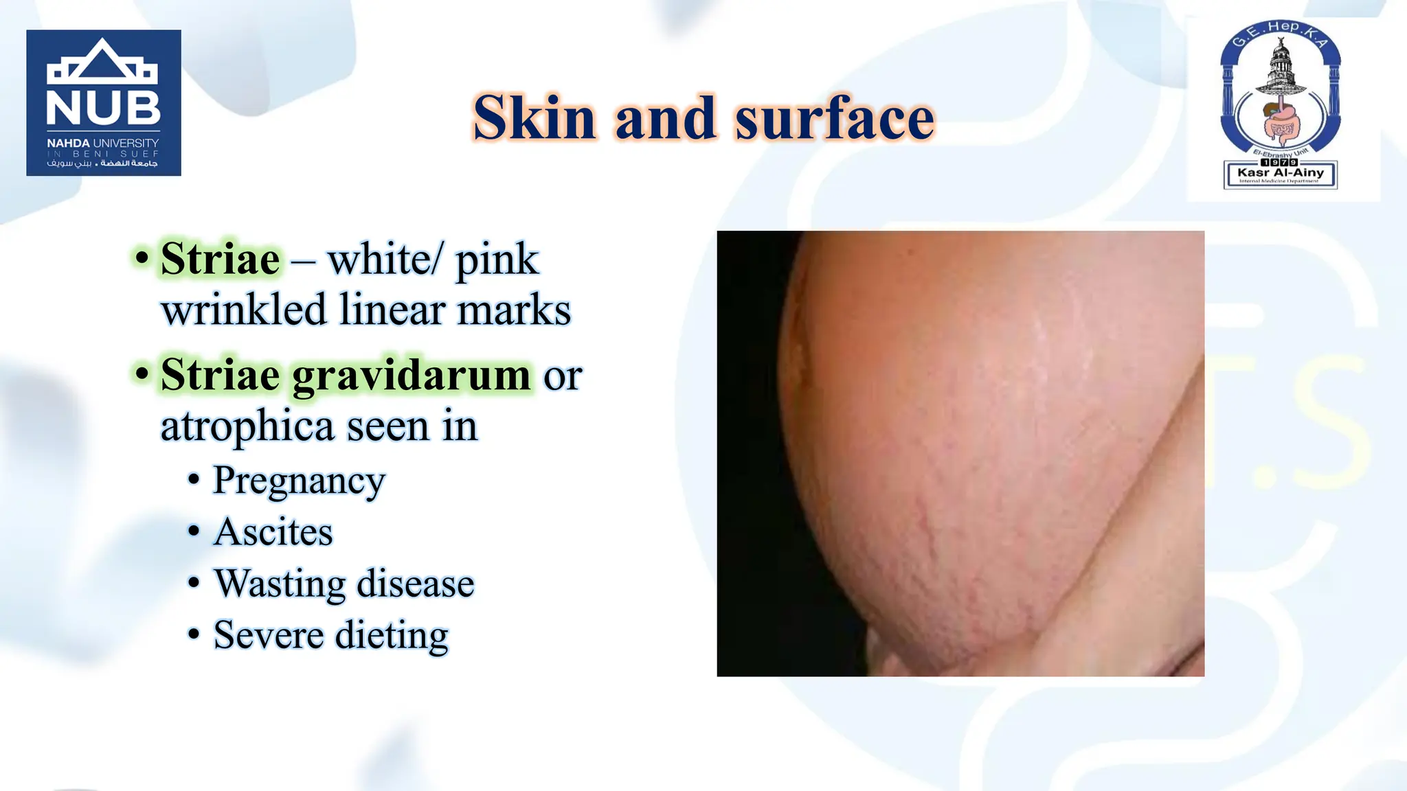 Abdominal Examination For Students (Chapter 1) | PDF