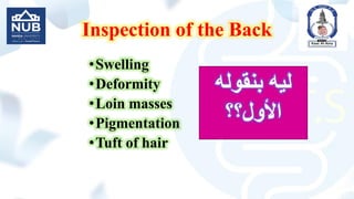 Abdominal Examination For Students (Chapter 1) | PDF