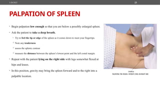 Abdominal examination for C1 medical students | PPT